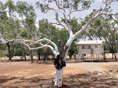 Fitzroy River Lodge